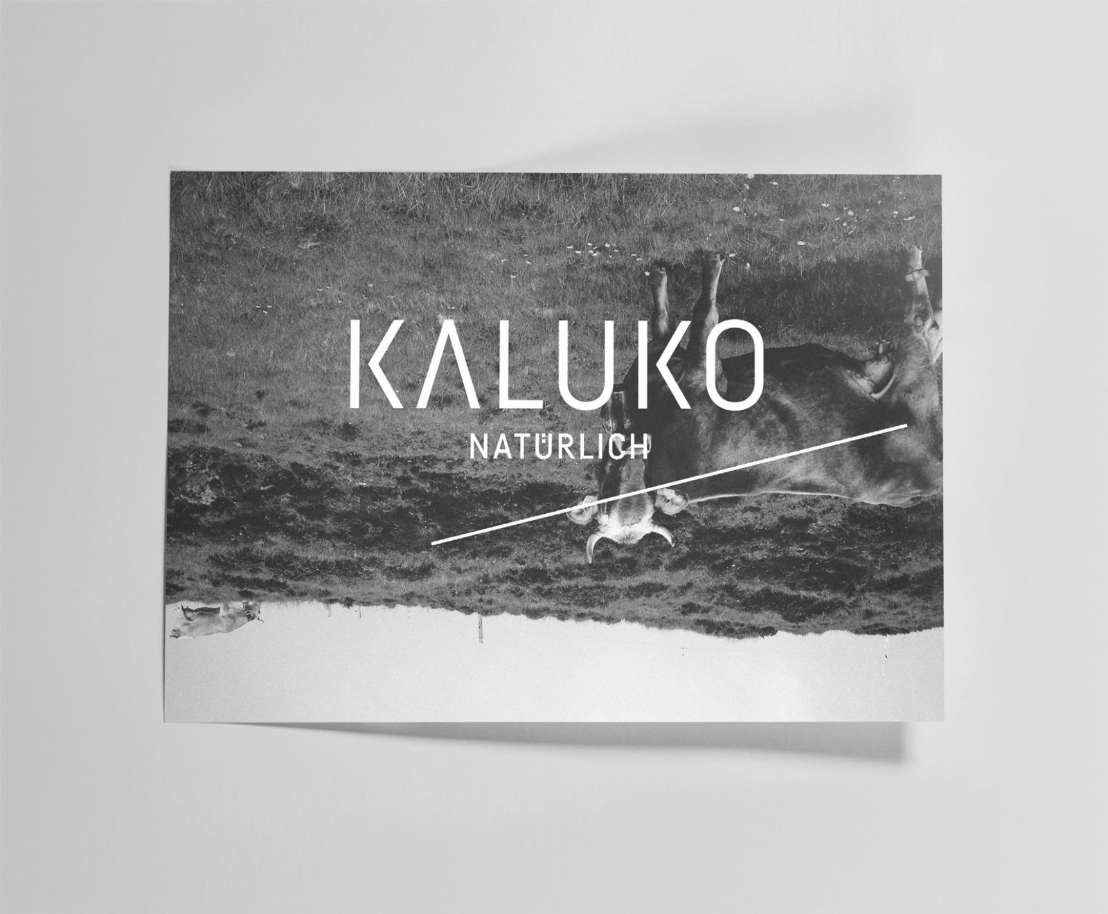 Kaluko - Kontainer